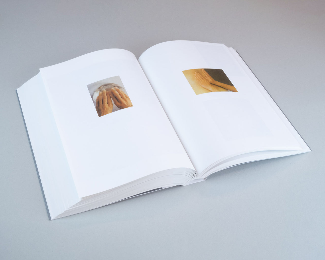 Ruth van Beek / How To Do The Flowers