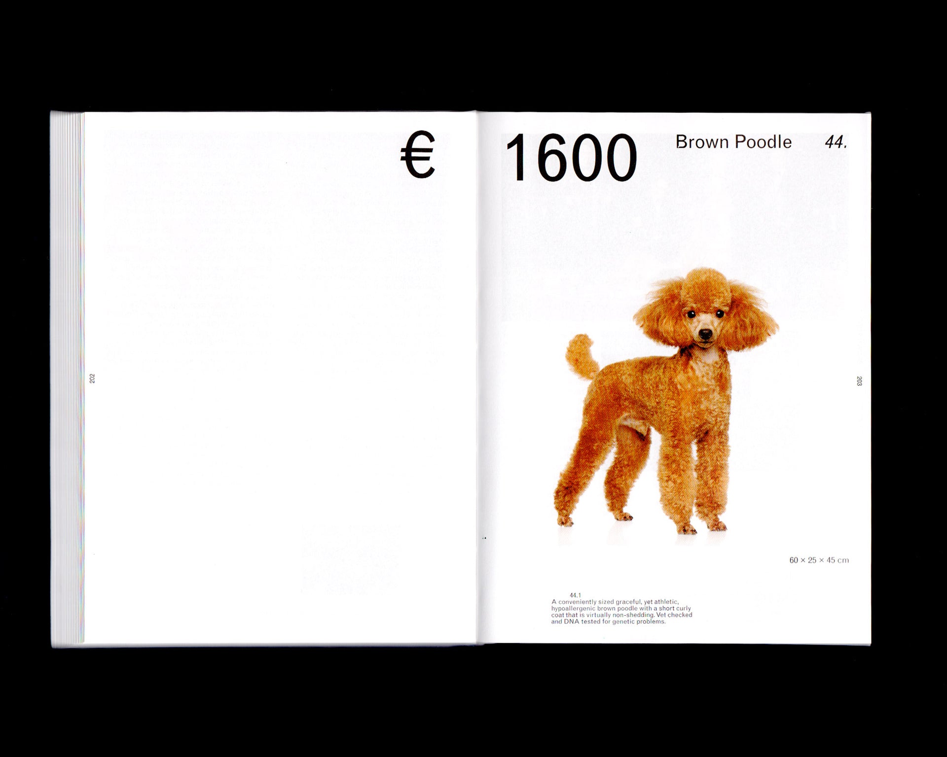 Zsofia Kollar / Object-Oriented Identity: Cultural Belongings from our